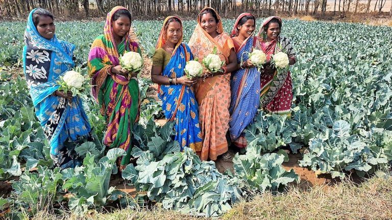 Women’s organisation for Socio-Cultural Awareness (WOSCA)